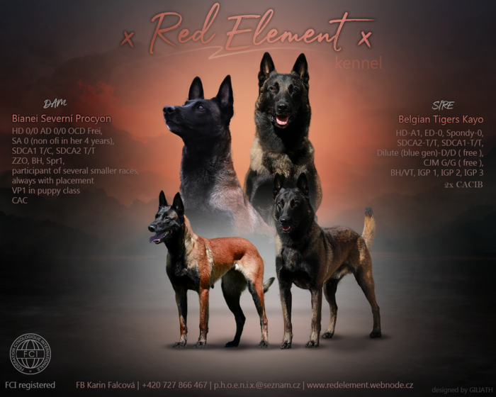 "C" vrh / "C" Litter :: Redelement